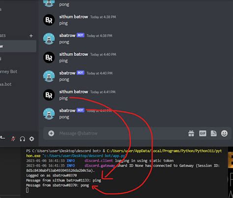 Make Your Custom Discord Bot In Python By Sithumtaruka Fiverr