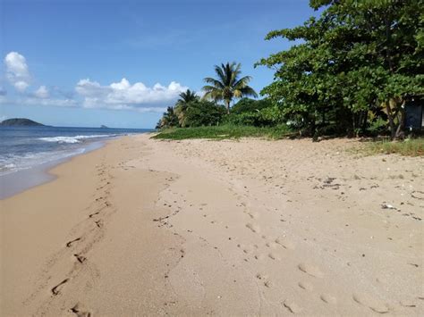 Moune Beach Basse Terre Guadeloupe Ultimate Guide June 2026