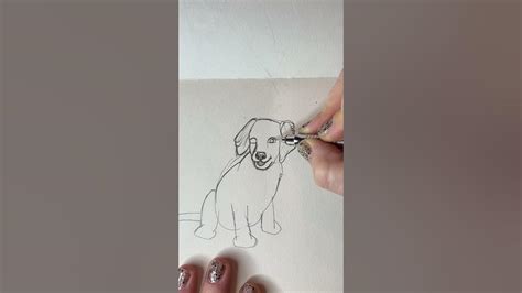 როგორ დავხატოთ ლეკვი ხატვა მარტივად ხატვის გაკვეთილები Youtube