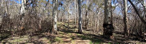 Corin Dam To Pryors Hut 58 Reviews Map Australian Capital Territory Australia Alltrails