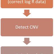 Workflow To Detect New Cytogenetic Aberrations Using SNP Array Download Scientific Diagram