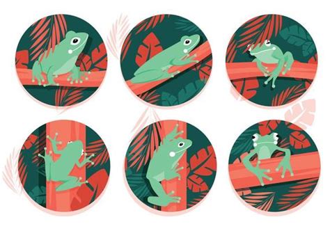 Tree Frog Vector Art Icons And Graphics For Free Download