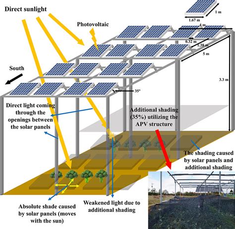 Frontiers The Effect Of Additional Shading Utilizing Agriphotovoltaic