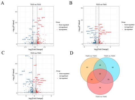 ijms free full text lncrna and protein expression profiles reveal heart adaptation to high