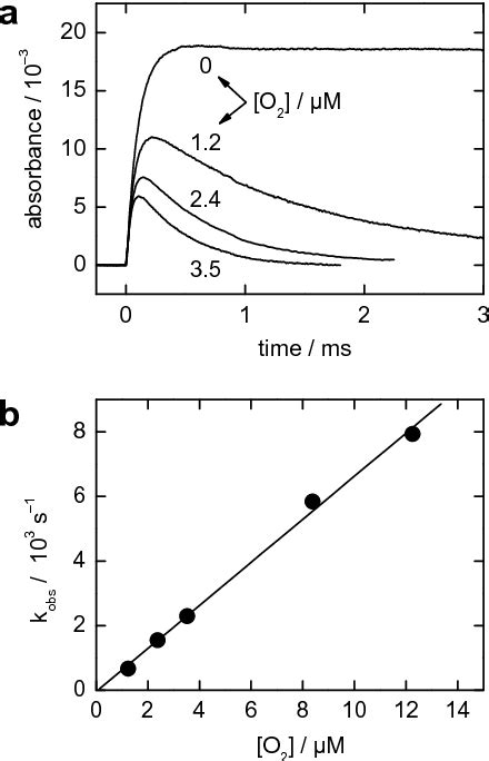 Figure 1 From Kinetics Of Reaction Of Nitrogen Dioxide With Dihydrorhodamine And The Reaction Of