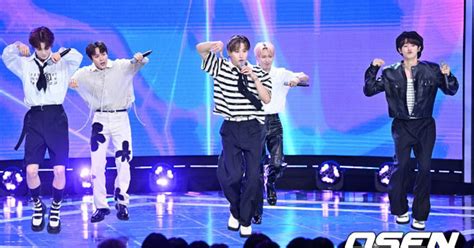 어센트사랑스럽게 날아올라 사진