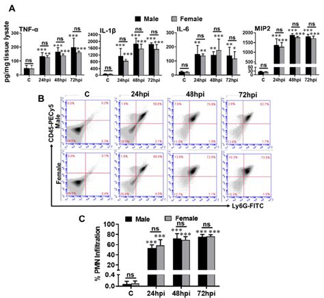 Figure S4 Sex Bias Does Not Affect The Inflammatory Response In Download Scientific Diagram