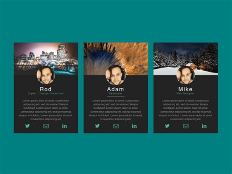 Profile Cards With Hover Effect In Css — Codepel