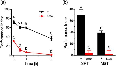 Odour Learning And Memory Deficits In Smu Download Scientific Diagram