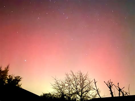 Grandpa Simpsons Grandpa Simpsons Collectibles