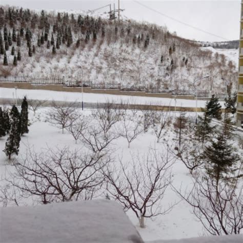 Hongyu Li Nagoya University Nagoya Meidai Economic Research Center Research Profile