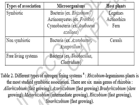 Biological Nitrogen Fixationpptx Gardening Home And Garden