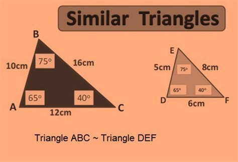 Class 10 Triangles Circles And Construction Basics Problems And