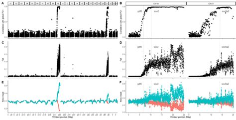 Two Genomic Regions Implied In Sex Differentiation A Correlation