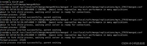 如何使用mongoshake实现mongodb数据同步的方法 数据库运维技术服务 如何使用mongoshake实现mongodb数据同步的方法 数据库运维技术服务