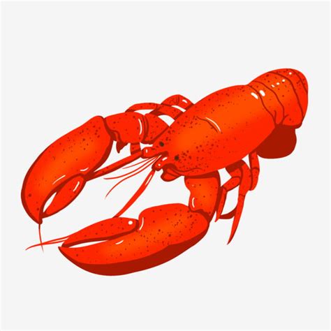 붉은 바다 일러스트 가재 맛있는 랍스타 영양가있는 랍스터 클립 아트 붉은 랍스터 맛있는 랍스터 Png 일러스트 및 Psd