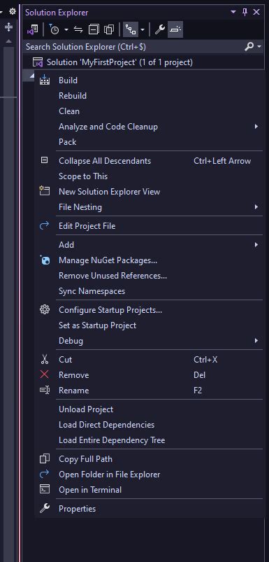 No Publish Option C Console App Vs 2022 Microsoft Qanda