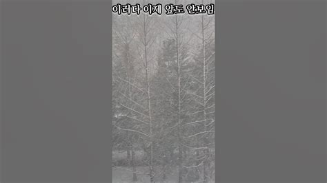 여기가 러시아인지한국인지 Youtube