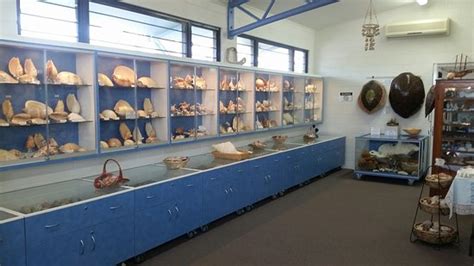 Shell World Yeppoon Top Tips Before You Go Updated 2017