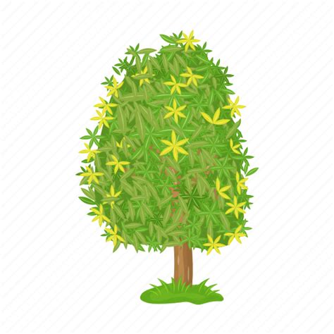 Tree Nature Evergreen Greenery Shrub Icon Download On Iconfinder