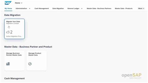 Sap S4hana Data Migration Cockpit