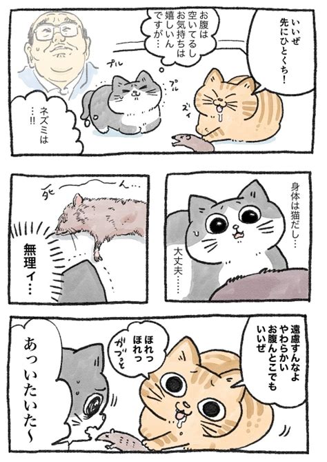 おじさんが猫に転生した漫画がかわいすぎて話題 「猫もおじさんもかわいい」と大反響（1 2 ページ） ねとらぼ