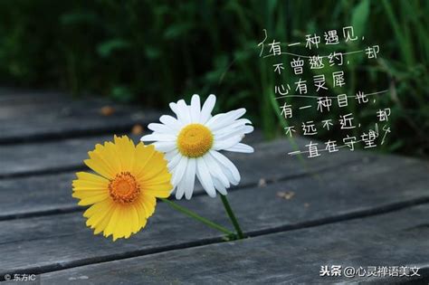 往後餘生，珍惜時光，珍惜擁有 每日頭條
