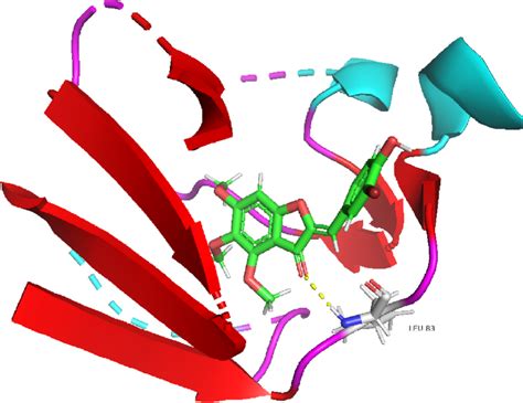 Molecular Docking Interaction Of Compound 1c With Cyclin B1cdk1cks Download Scientific