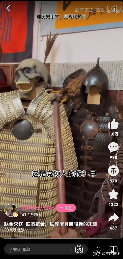 终于知道为什么西夏党项人的具装骑兵叫铁鹞子了 知乎
