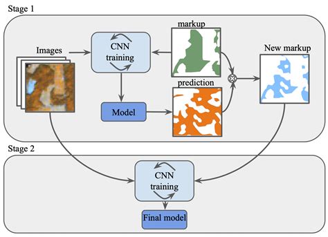 Forests Free Full Text Tree Species Mapping On Sentinel 2 Satellite
