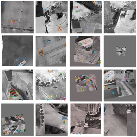 Train Yolo Nas On Custom Dataset