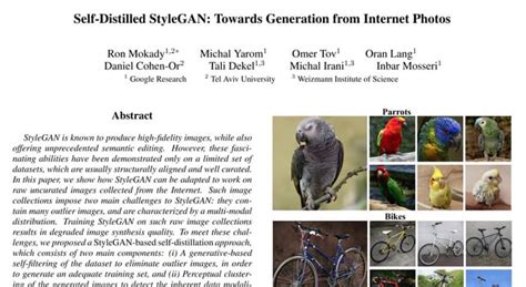 R New Datasets For Stylegan Rmediasynthesis