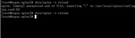 【nginx】 Emerg Server Directive Is Not Allowed Here In Usrlocal