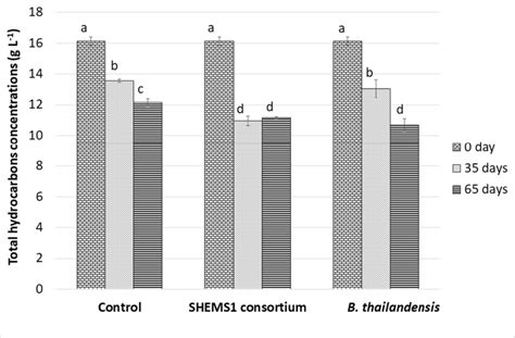 Evolution Of Total Hydrocarbon Concentrations Different Letters Download Scientific Diagram