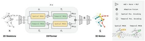 【论文笔记】unified Human Centric Model 系列之motionbert 知乎