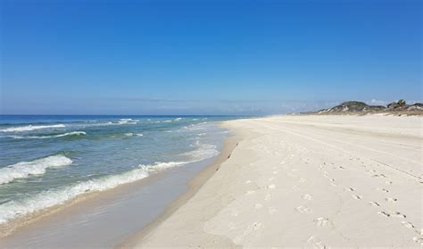 Florida Wildlife Federation