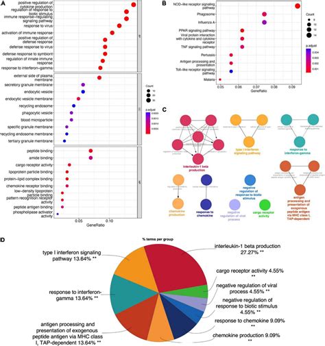 Enrichment Analyses Of The Overlapping Degs In M1 Polarized Datasets