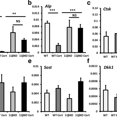 Af Gene Expression Au Of Bglap Alp Ctsk Runx2 Sost And Dkk1 In