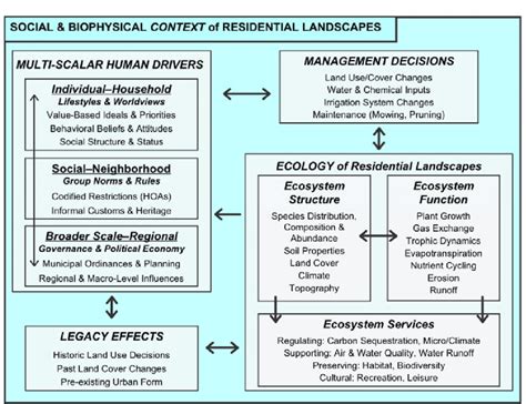 Conceptual Framework Representing The Feedbacks And Interactions Download Scientific Diagram