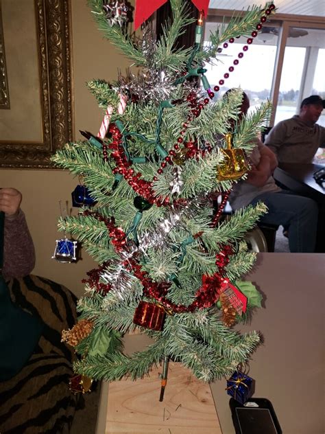 Make My Day Camp Make Mini Trees From One Big Tree