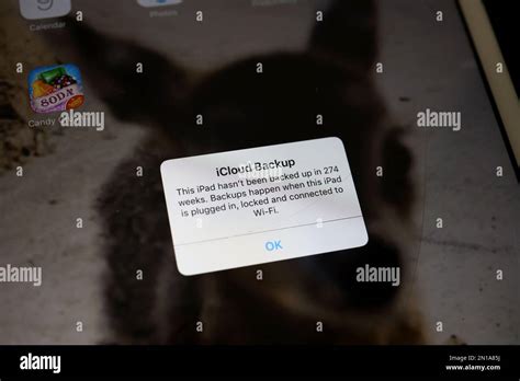 Apple Devices With Warning About Backing Up The Software Displayed On