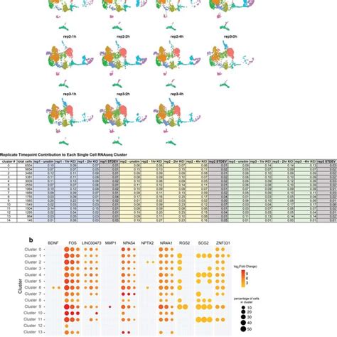 Activity Dependent Gene Expression Patterns Detected By Total Rnaseq A