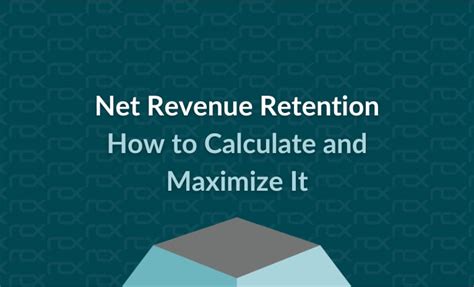 How To Calculate And Maximize Your NRR For Sustainable SaaS Growth