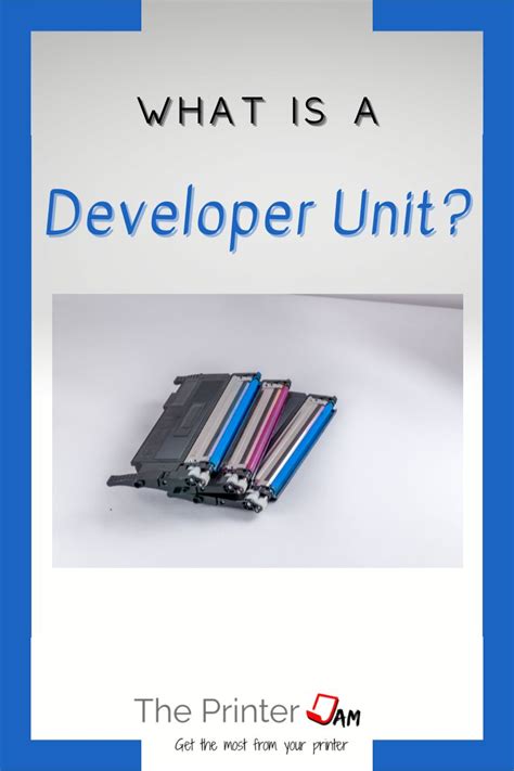 what is a developer unit at helen mckenzie blog