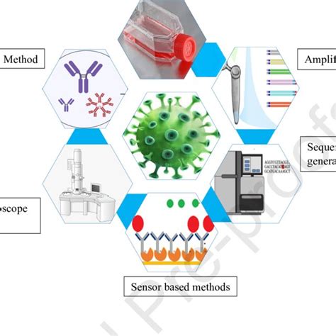 Virus Detection Methods From Water Download Scientific Diagram