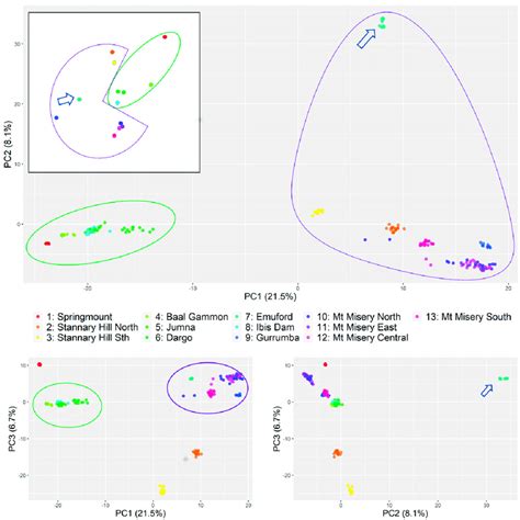 Three Plots Illustrating The Relationships Amongst Individuals Of