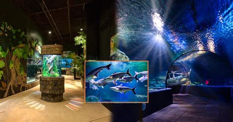 ទីតាំងប៉ុន្មានខេត្តនេះ ជាទីពេញនិយម សម្រាប់អ្នកទេសចរបច្ចុប្បន្ន Khmerload