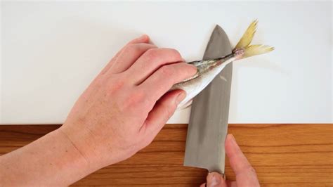 Разделка ставриды на филе по-японски | Nippon.com