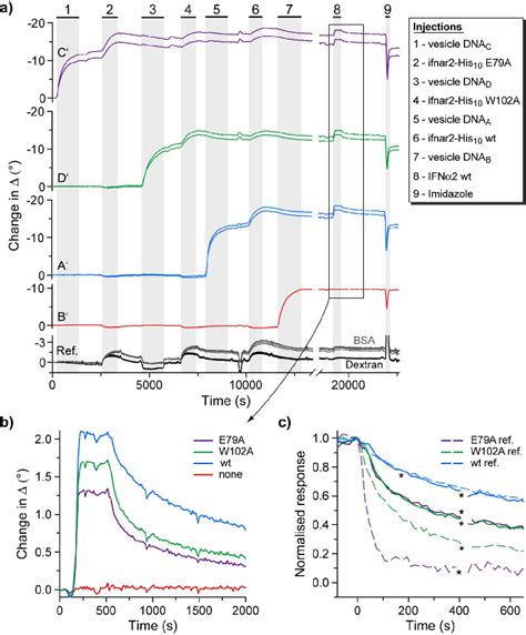 Addressable Adsorption Of Lipid Vesicles Followed By Online Protein