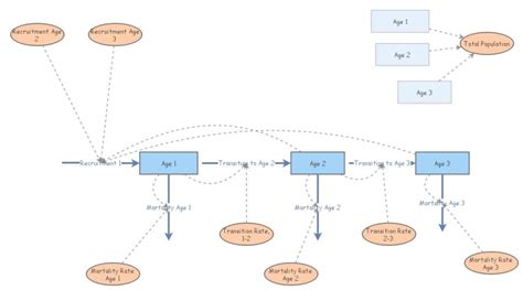 Lab 3 Age Structured Population Insight Maker